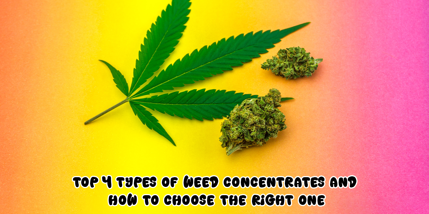 Top 4 Types of Weed Concentrates and How to Choose the Right One